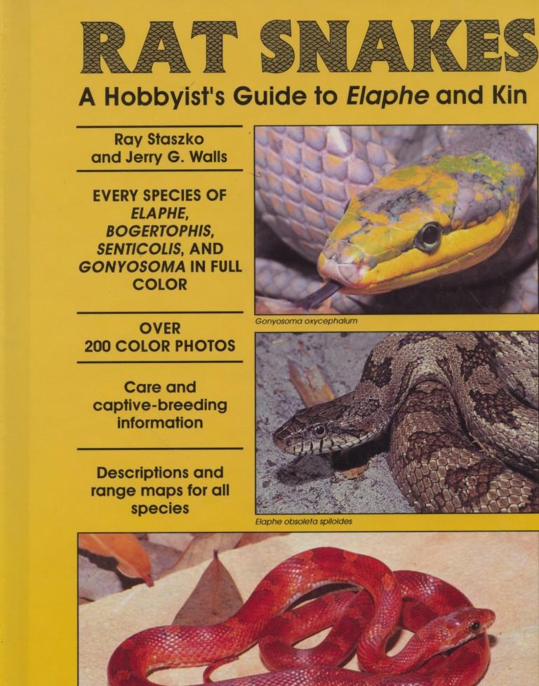 Rat Snakes a Hobbyist's Guide to Elaphe and Kin by Staszko, Ray, and ...