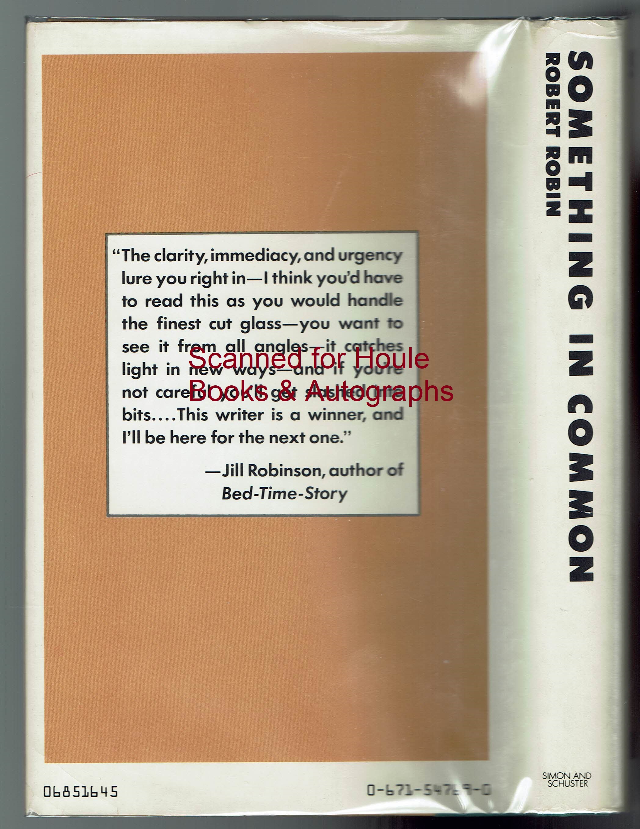 Something in Common by Robin, Robert: Very Good Hardcover (1985) 1st ...