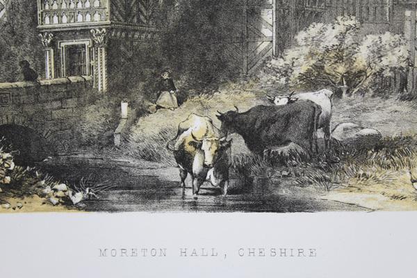 Fine Original Lithotint Illustration of Moreton Hall in Cheshire By J.D ...