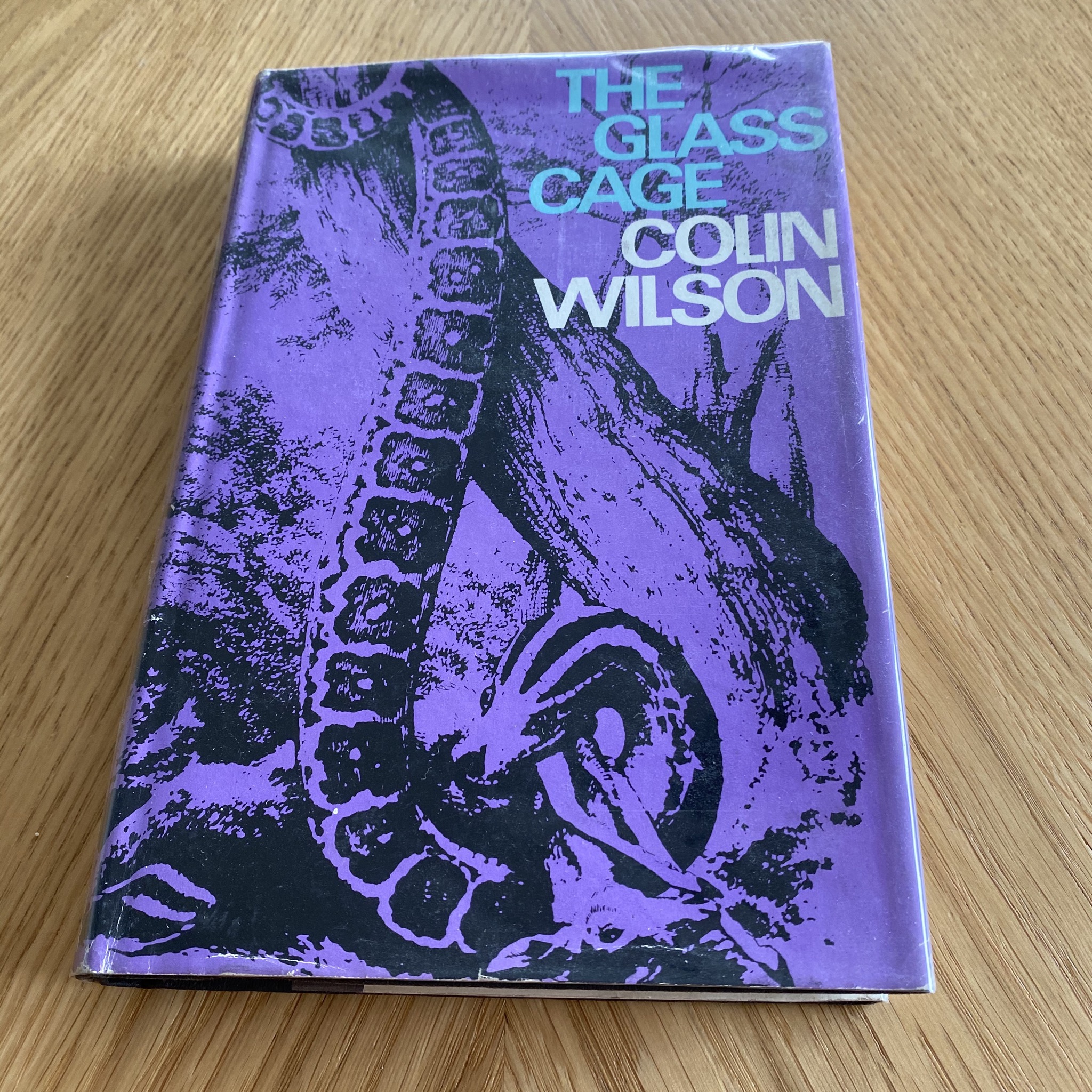 the glass cage von colin - ZVAB