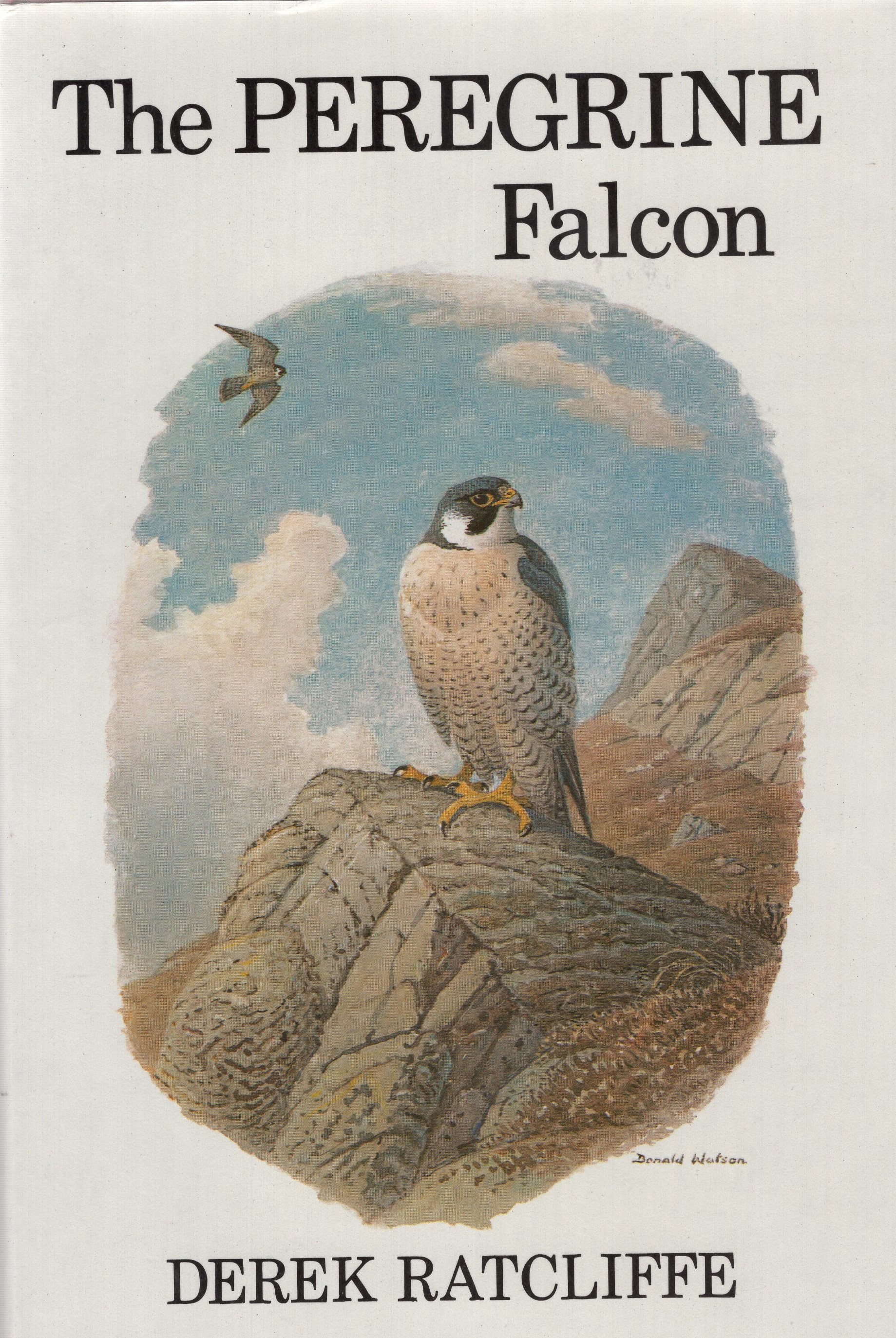 The Peregrine Falcon, by RATCLIFFE DEREK -: Fine Hardcover (1980) 1st ...