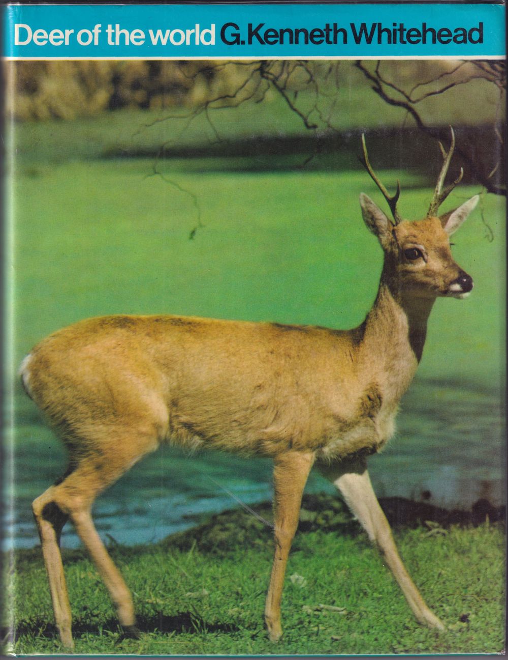 DEER OF THE WORLD. By G. Kenneth Whitehead. by Whitehead (George ...