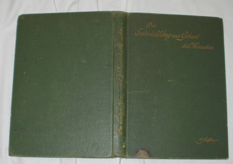 Die Entwicklung und Geburt des Menschen von Dr. med. Richard Flamm ...