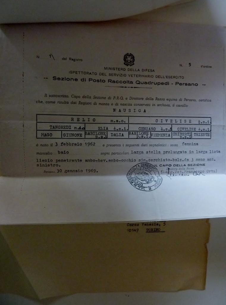 Lotto Documenti "Cavallo RAZZA PERSANO - NAUSICAA, Ministero della ...