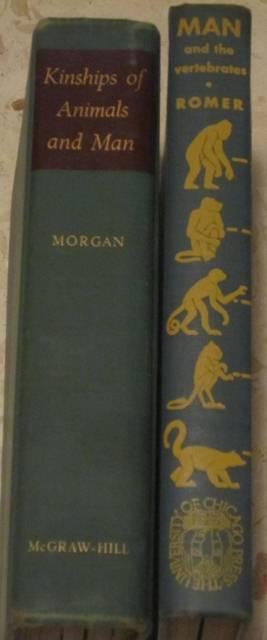 Man and the Vertebrates + Kingships of Animals and Man. A Textbook of ...