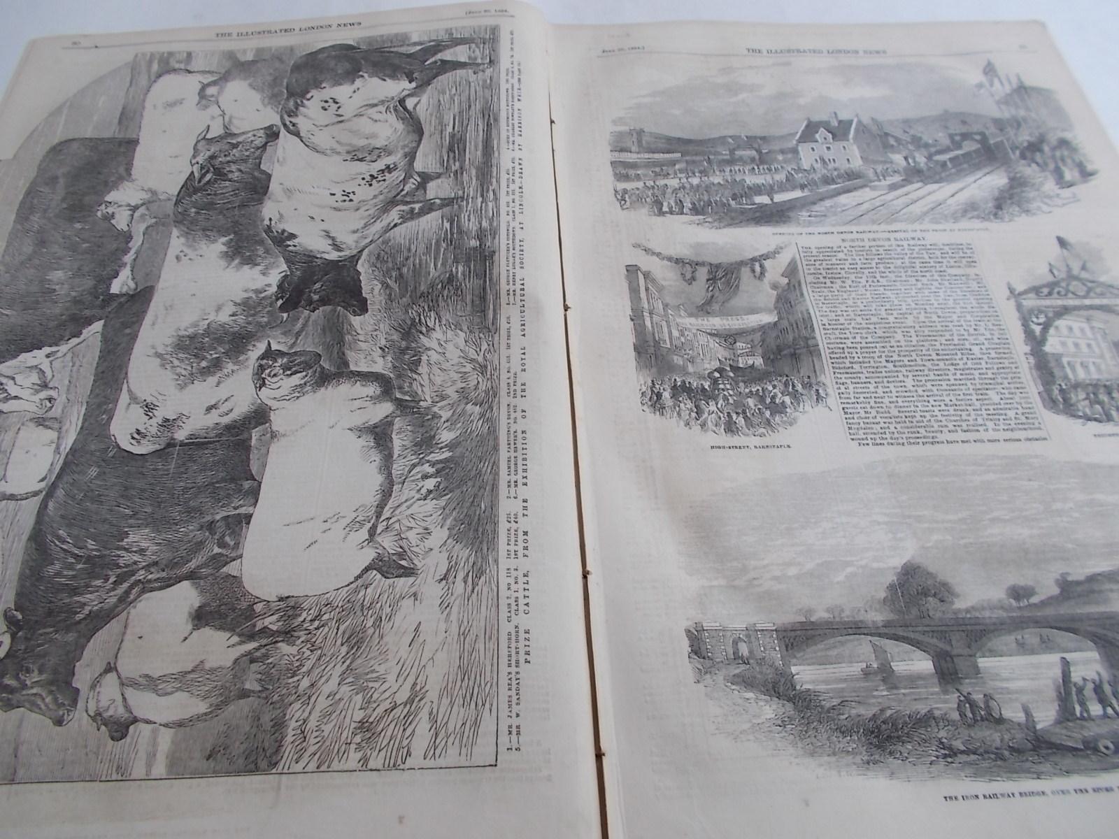 The Illustrated London News (Single Complete Issue: Vol. XXV No. 695 ...