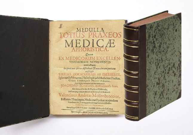 Medulla totius praxeos medicae aphoristica, quam ex medicorum ...