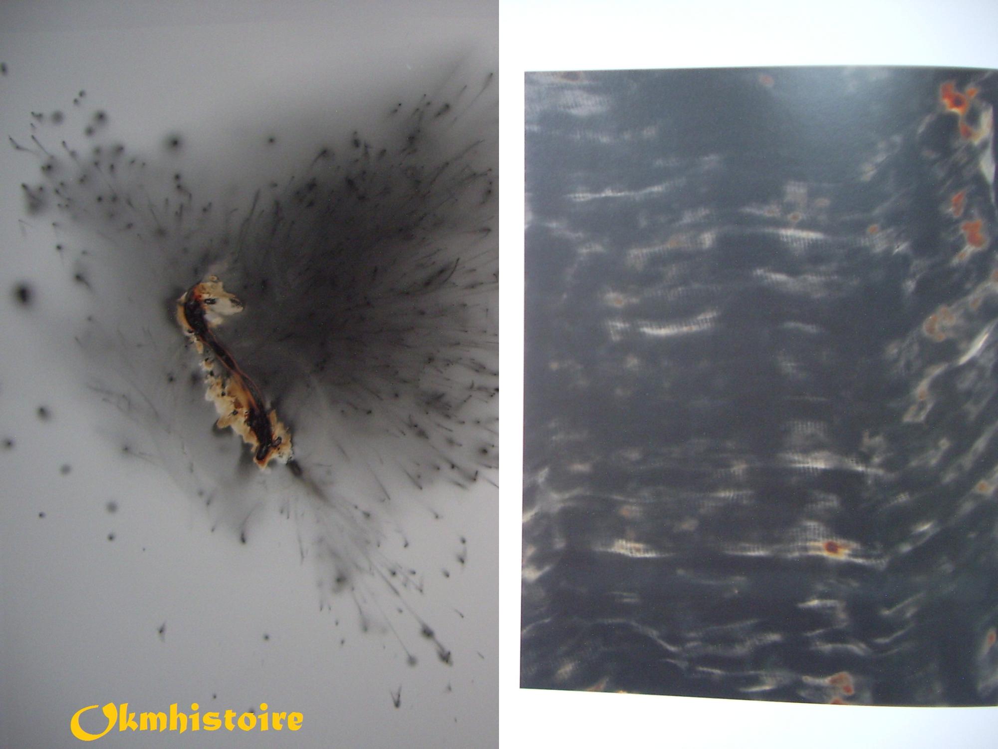 Marco Breuer : Early Recordings ----------- [ English Text ] de Mark ...