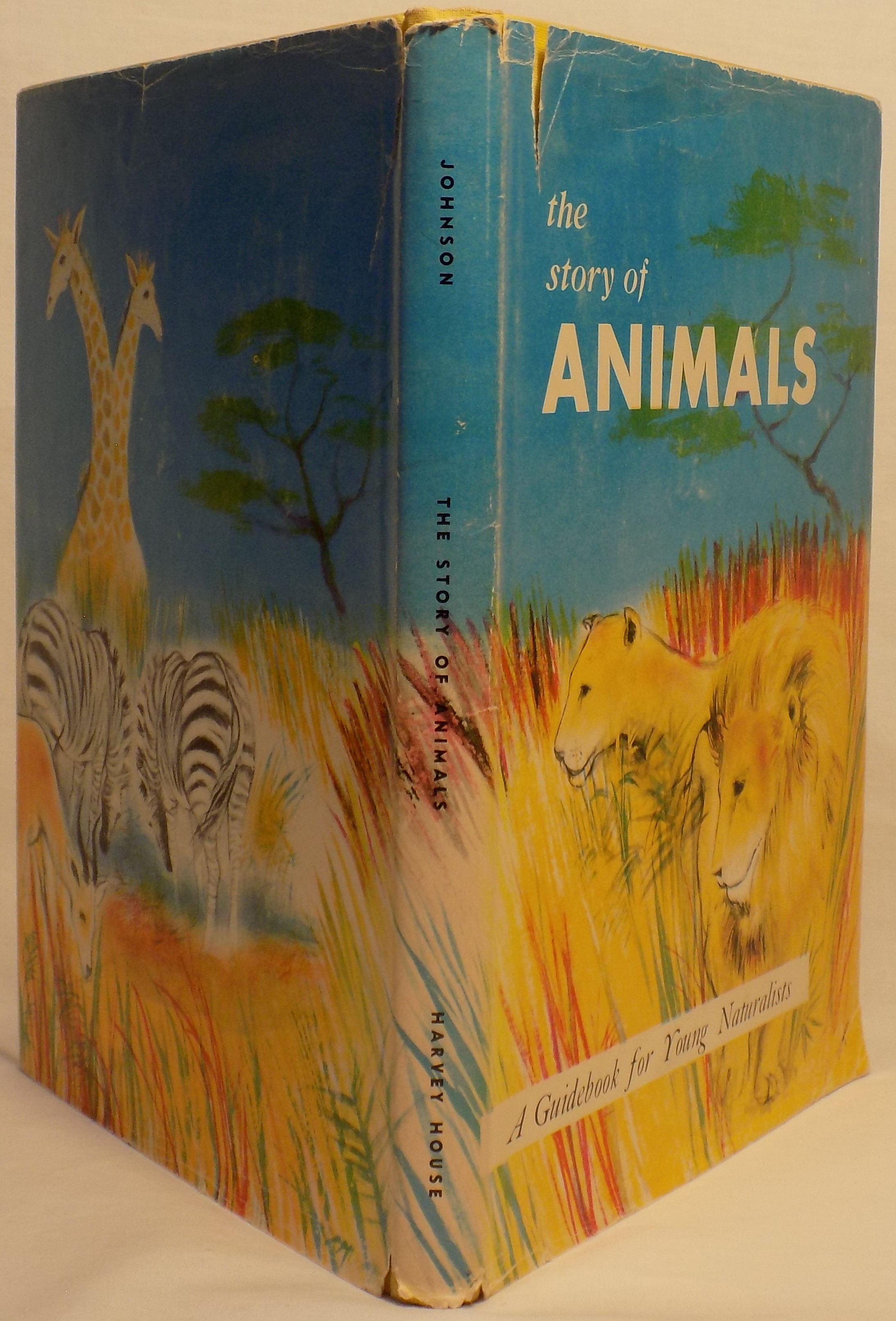 The Story of Animals: Mammals Around the World by Johnson, Gaylord ...