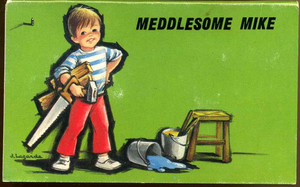 Meddlesome