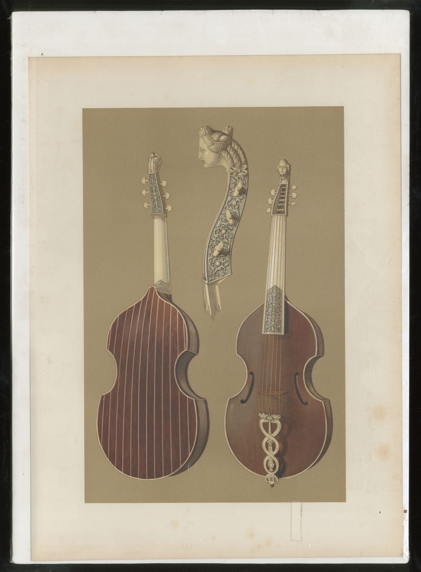 [Color Lithographic Print]: "Viola da Gamba" [from] Musical Instruments ...
