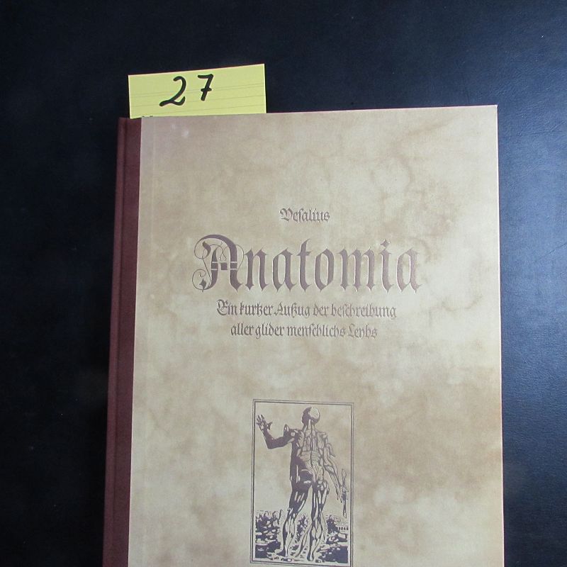 Anatomia Deudsch - Ein kurtzer Auszug der beschreibung, aller glider ...