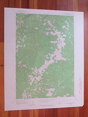 Pollock Mountain Idaho 1965 Original Vintage USGS Topo Map: (1965) Map ...