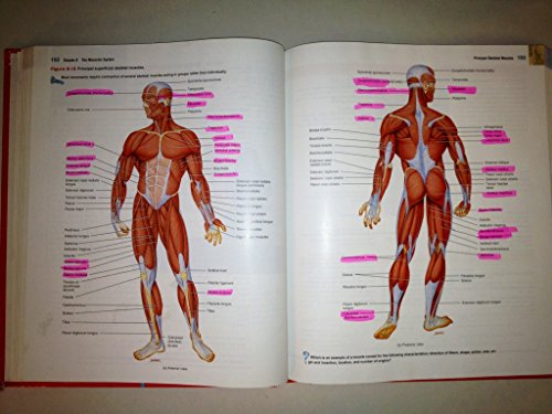Introduction To The Human Body The Essentials Of Anatomy And