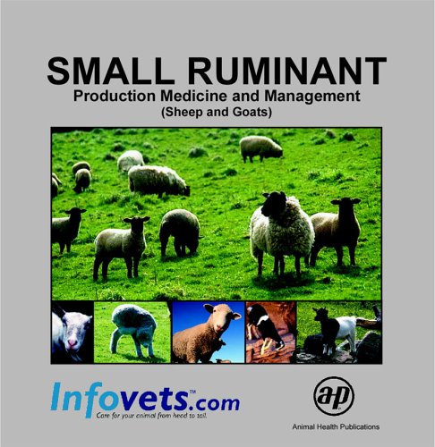 Small Ruminant Production Medicine And Management Sheep And Goats