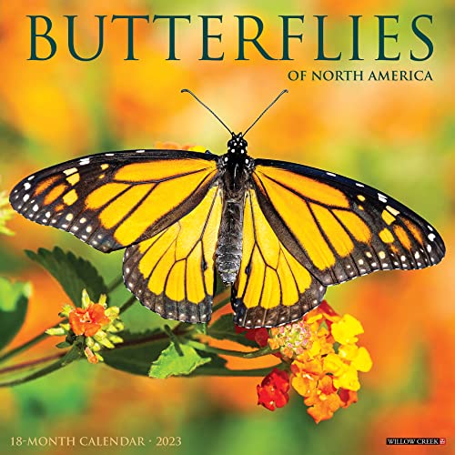 Butterflies 2023 Wall Calendar Willow Creek Press 9781549225178