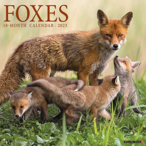 9781549225949 Foxes 2023 Wall Calendar Willow Creek Press